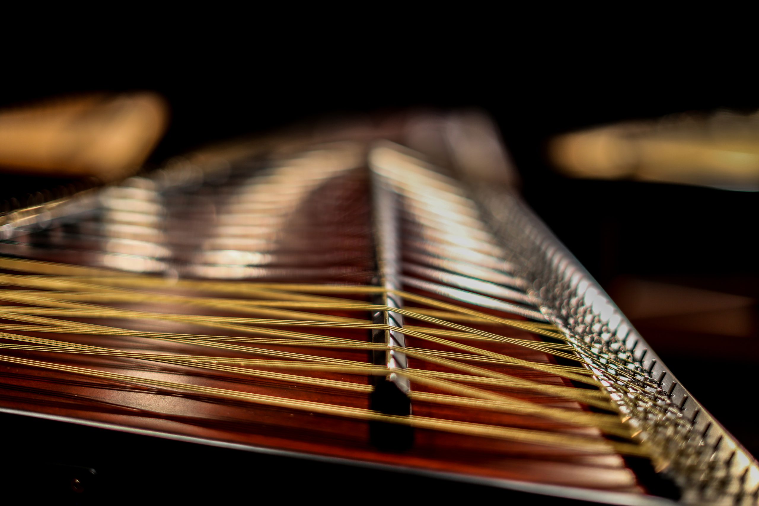 Hackbrett - Annika Popp